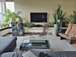Grow tunes : Music that helps your plants thrive - Grow Your Sprout