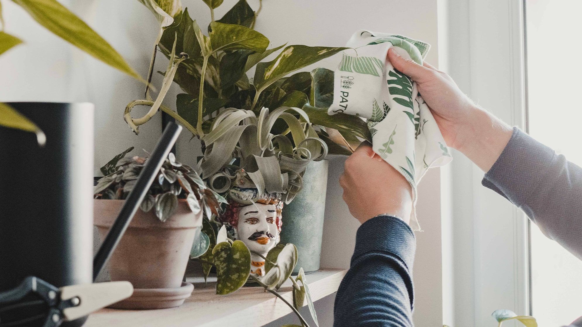 Do Plants Like Physical Contact? - Grow Your Sprout